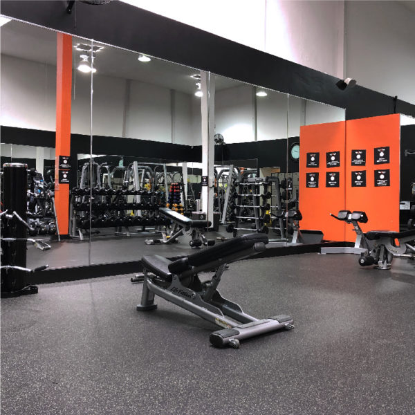 LOCATIONS - Live Fit Gym